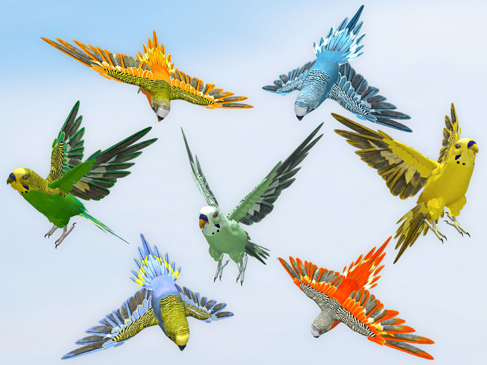 Animated Parakeets set (7 colors).